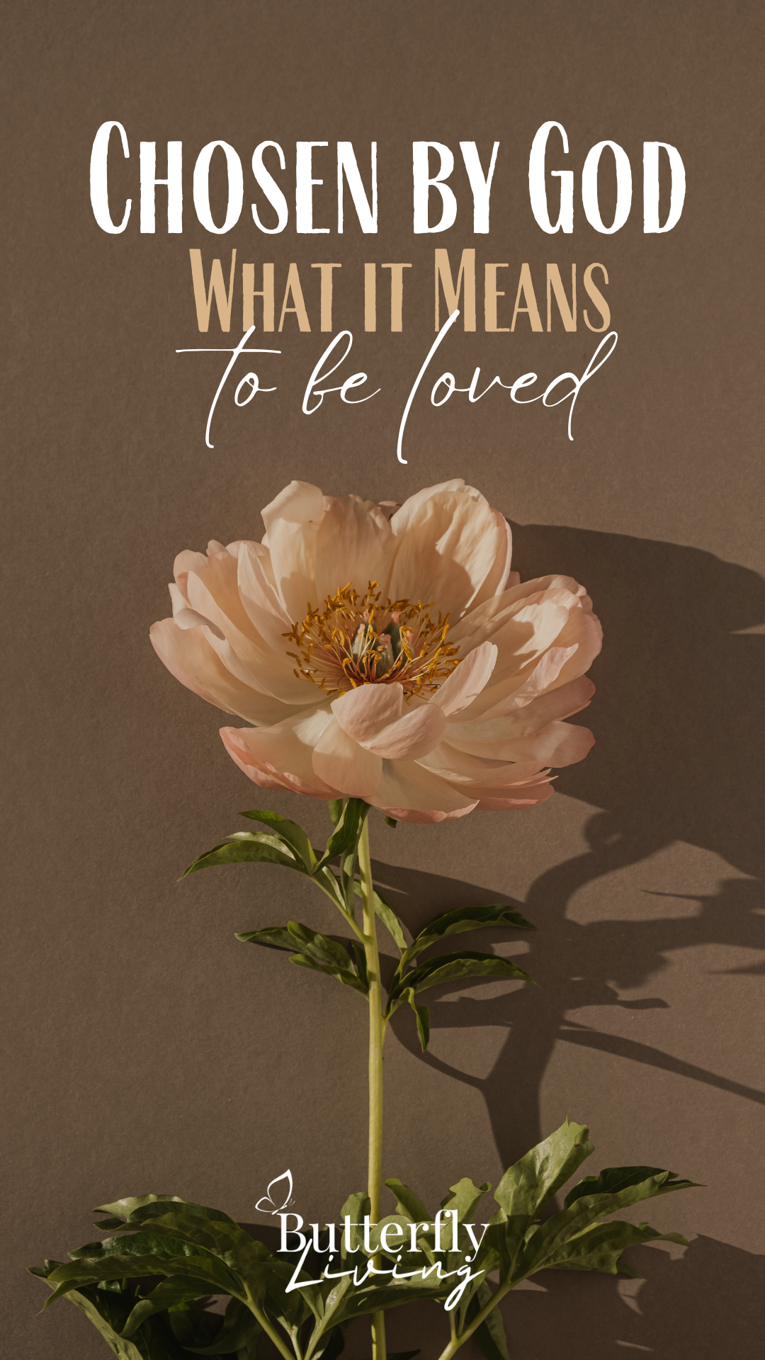 What Does it Mean to be Chosen by God and Defined by His amazing Love?