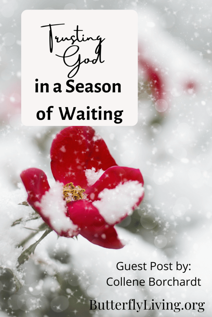 A Special Invitation to Wait on God's Timing & 5 Benefits of Waiting