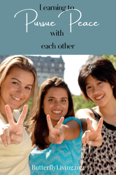 4 Helpful Ways to Pursuing Peace with Others