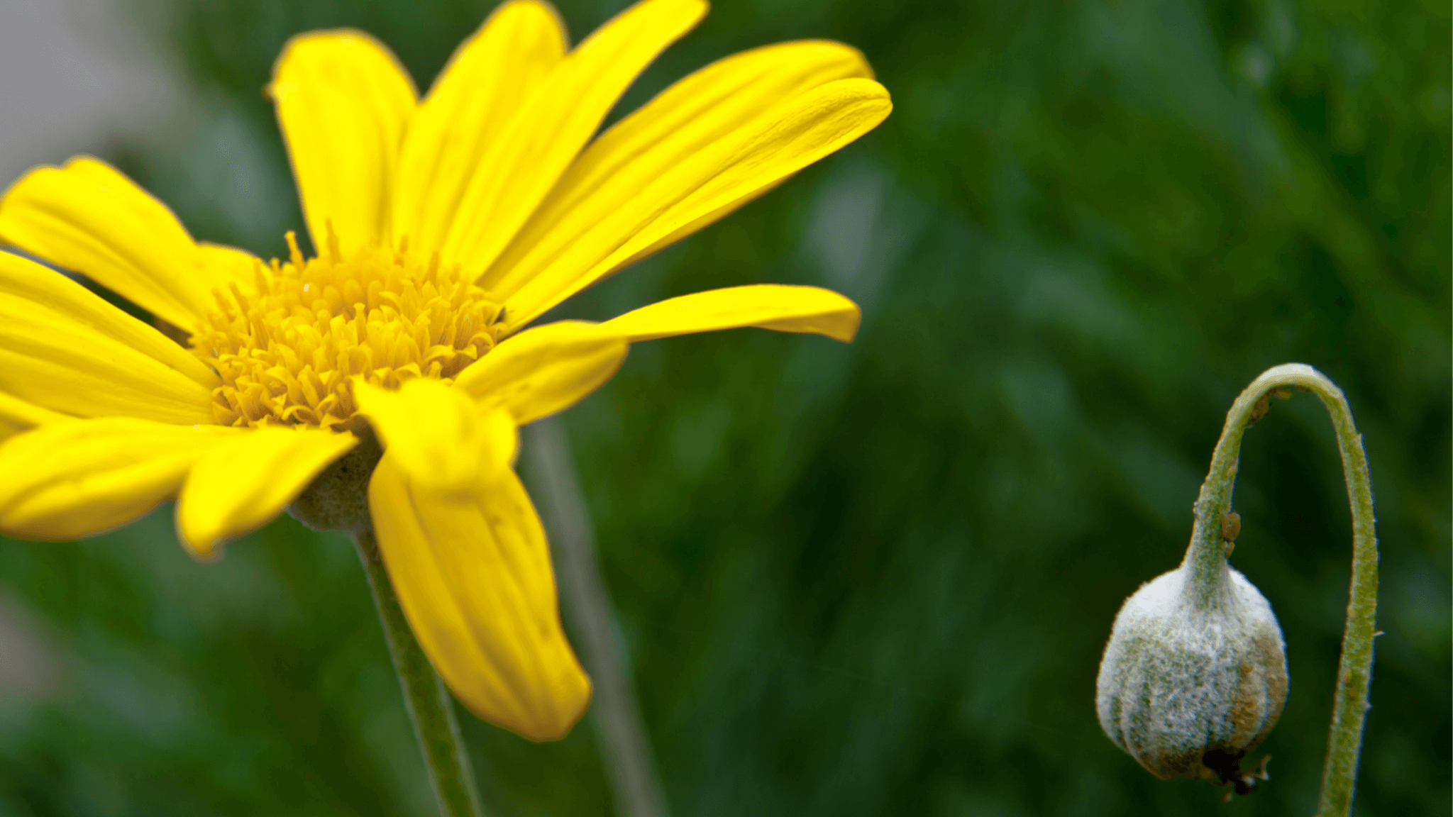 What is Discouragement? 5 Helpful Tips on How to Overcome Discouragement