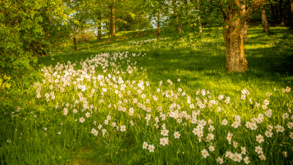 4 Powerful Ways to Pray Specifically