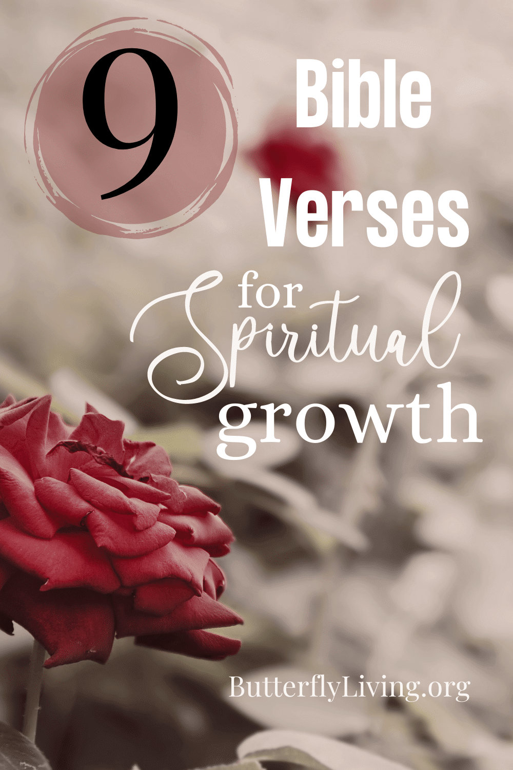8 Helpful Keys to Spiritual Growth and A Closer Walk with God