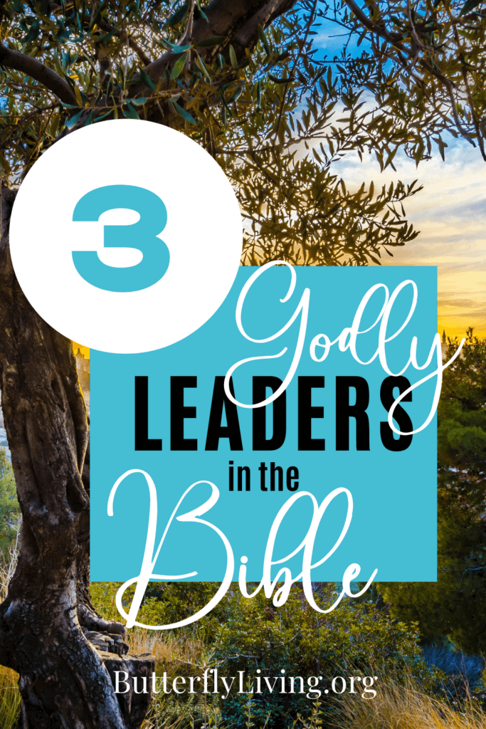 How to Be a Leader Not a Follower: 6 Powerful Truths