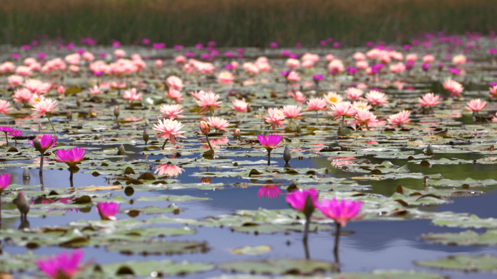 What Does the Bible say About Faithfulness: 5 Important Characteristics ...