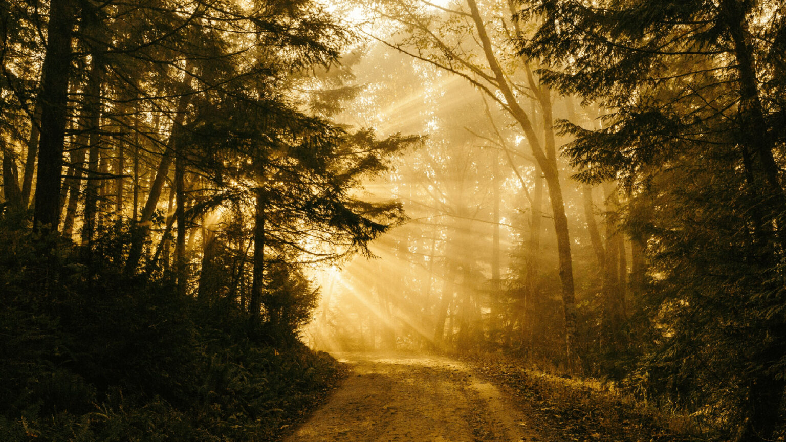 Finding God in Grief: 4 Uplifting Ways to Draw Closer to God Through Loss