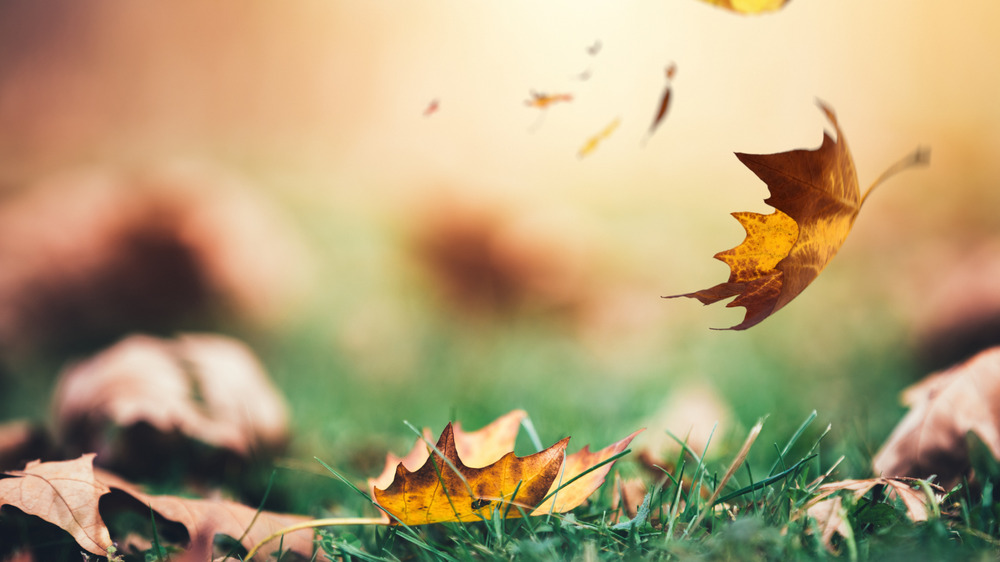 Finding the Extraordinary in the Ordinary: 5 Simple Postures to ...