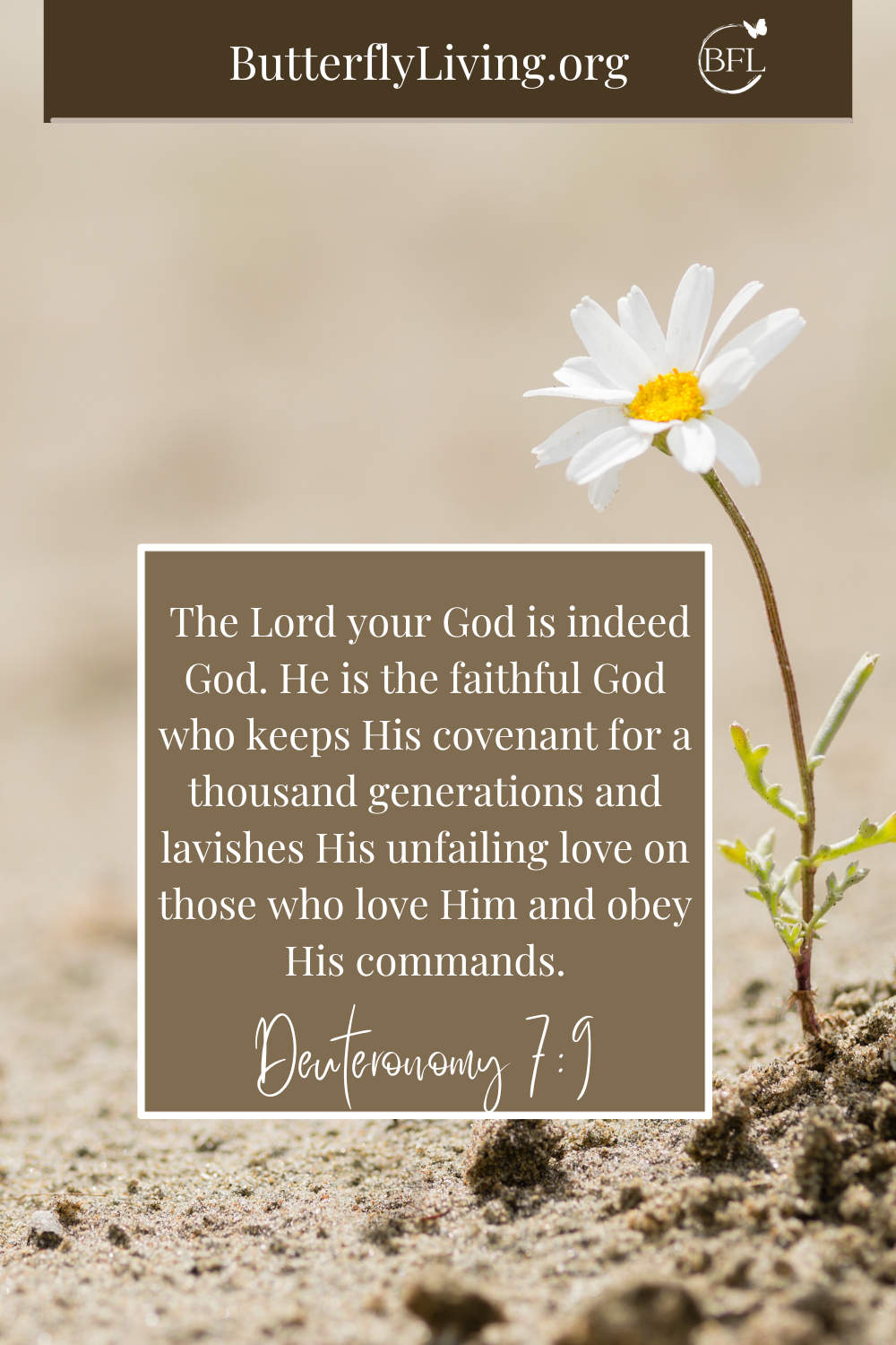 Waiting on God’s Promises: 5 Powerful Promises Fulfilled in the Bible