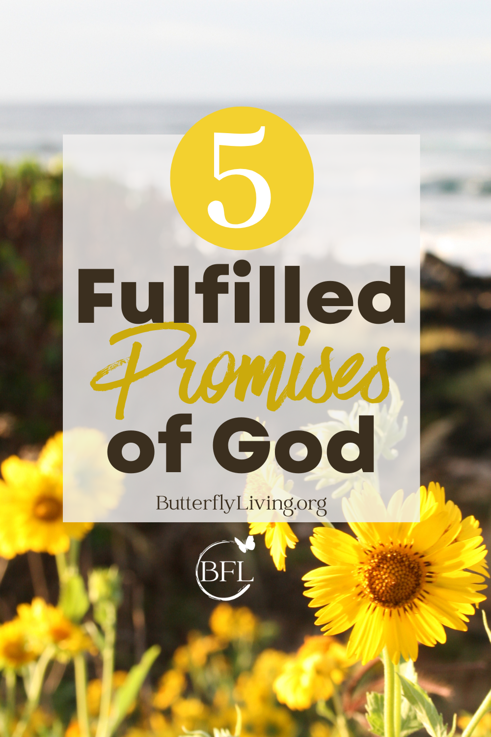 Waiting on God’s Promises: 5 Powerful Promises Fulfilled in the Bible