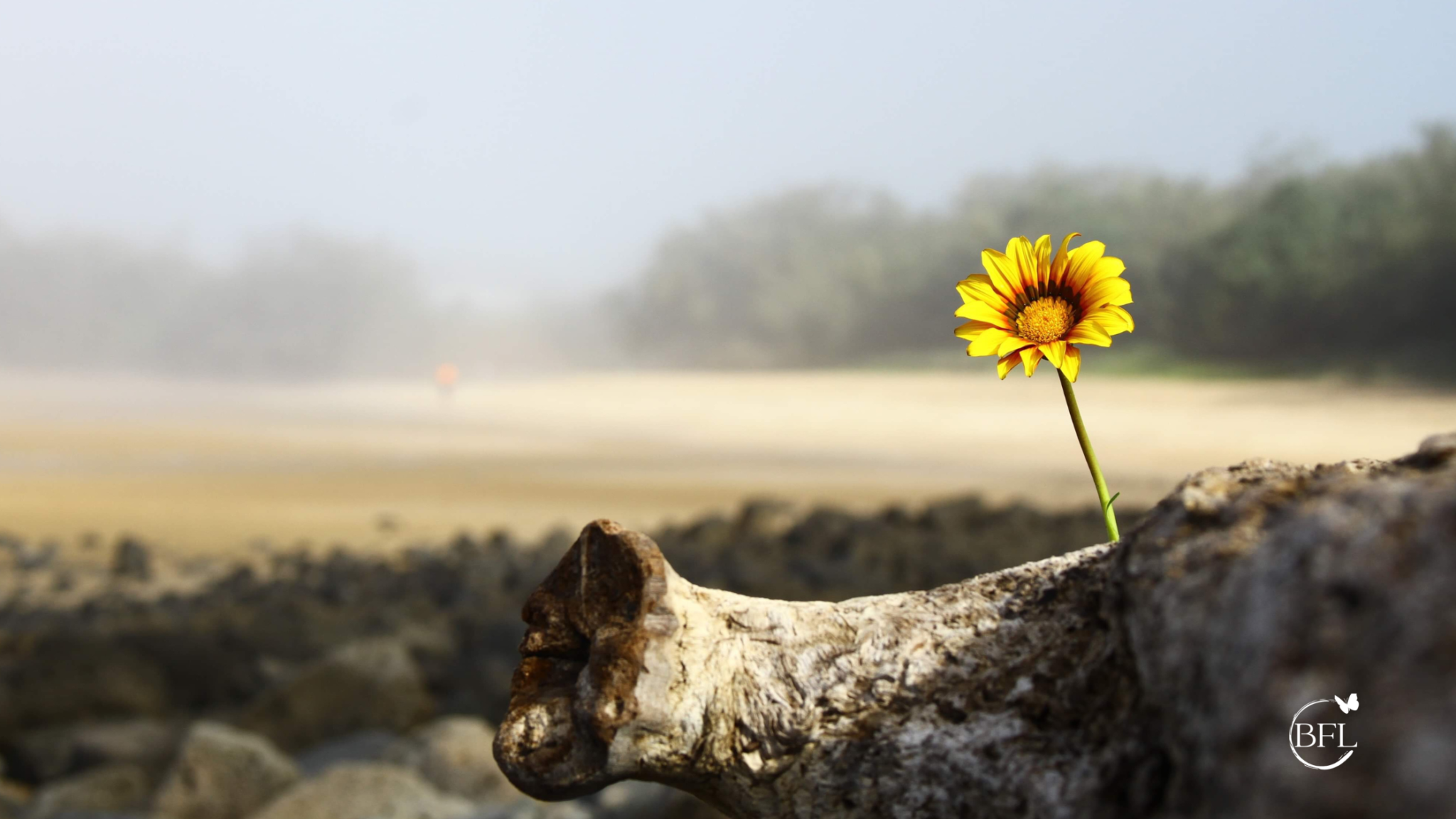 How God Uses Suffering for Our Good: 7 Powerful Ways