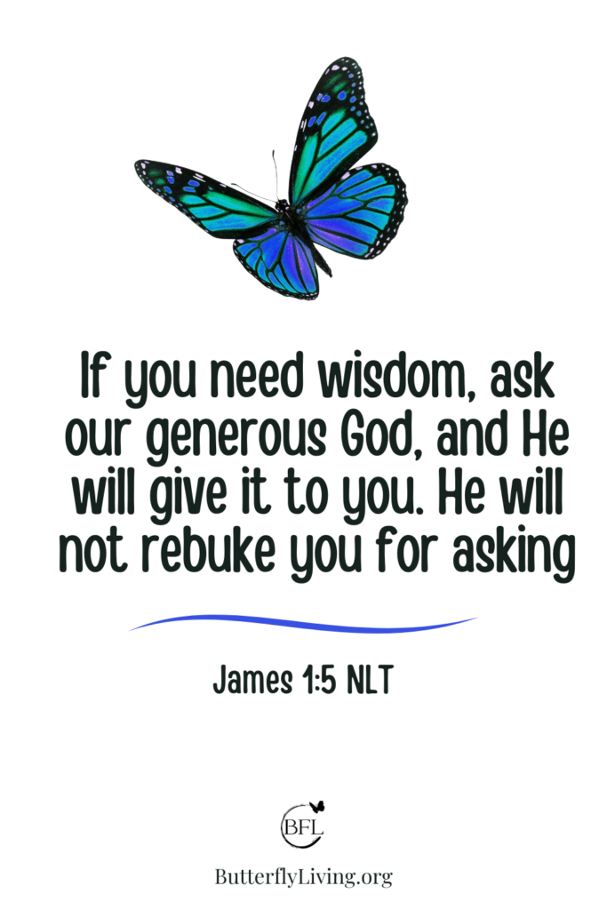 What is Godly Wisdom? How to Gain Wisdom for Guidance and Decision Making