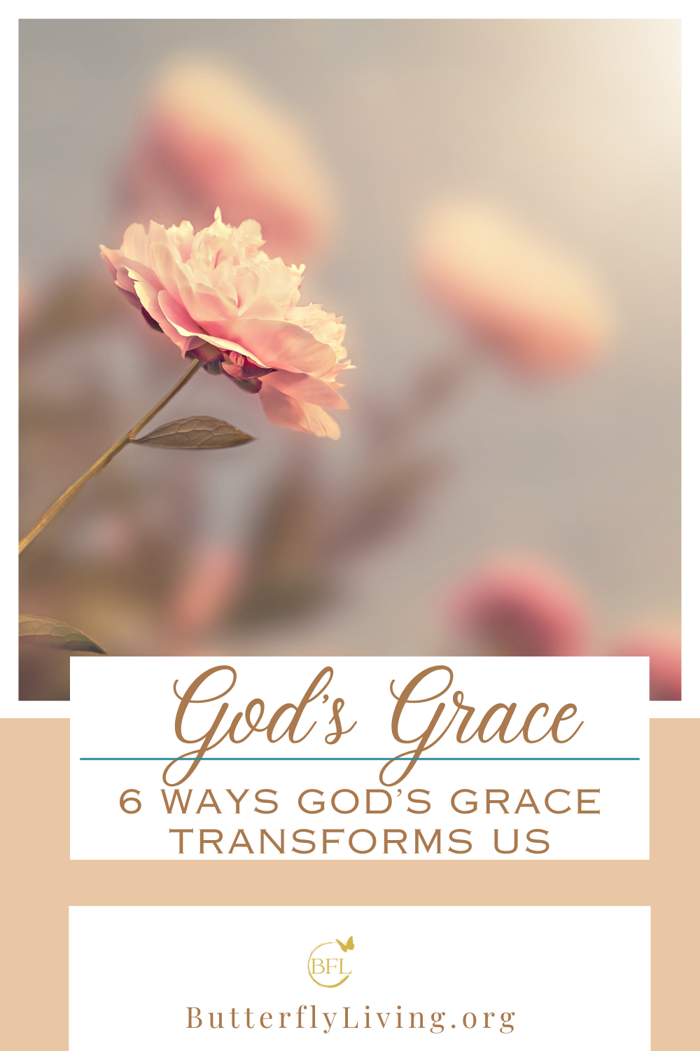 What Does the Bible Say About God's Grace? 6 Ways God's Grace Transforms Us