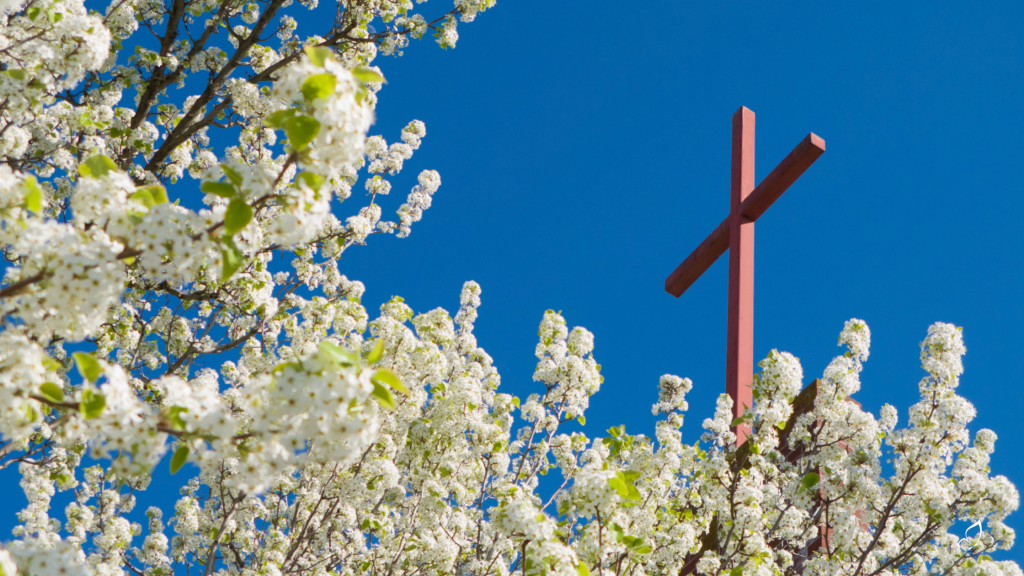 What is God's Covenant: Understanding His Powerful Promise to Us