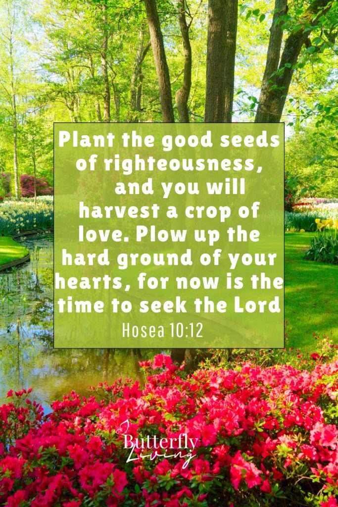 What Does Sowing and Reaping Mean: 8 Insightful Bible Verses