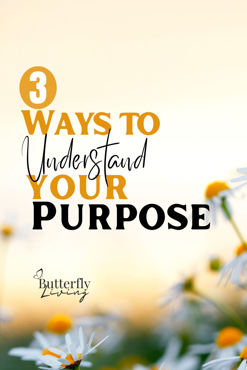 Understanding Your Purpose: 3 Ways to Know Your Why and Model Jesus